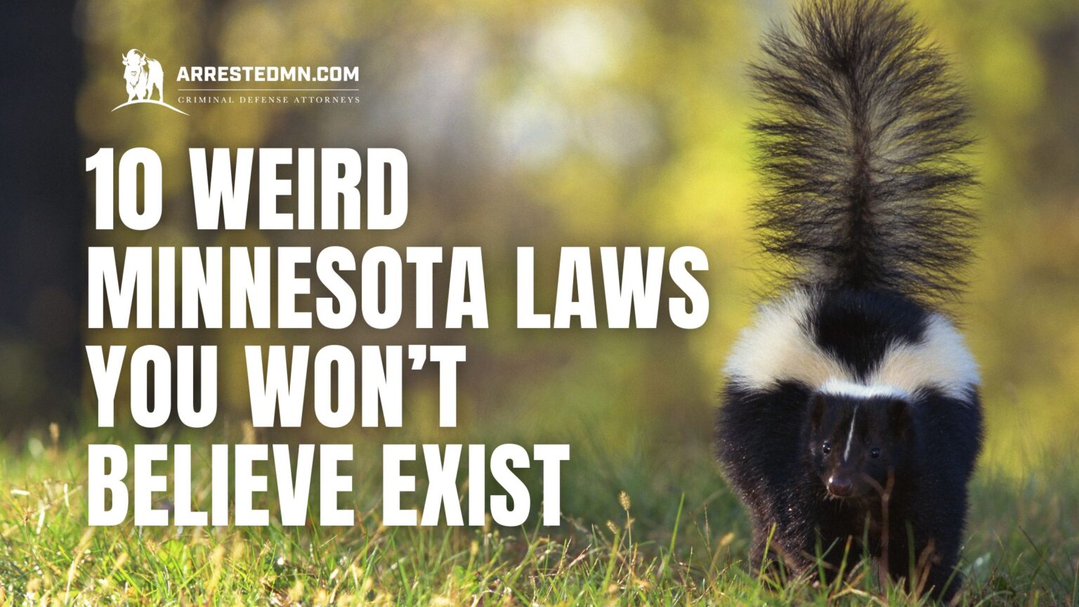 Explore the Unusual Laws Still on Minnesota's Books Today